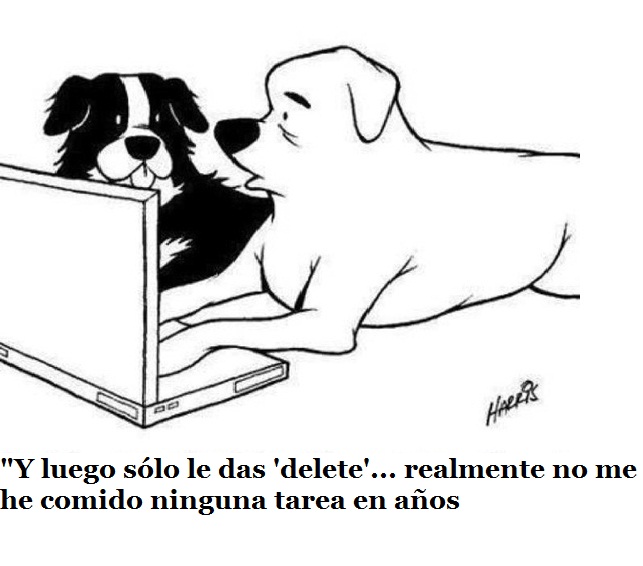 El perro se comió mi tarea | Pequeño Cerdo Capitalista